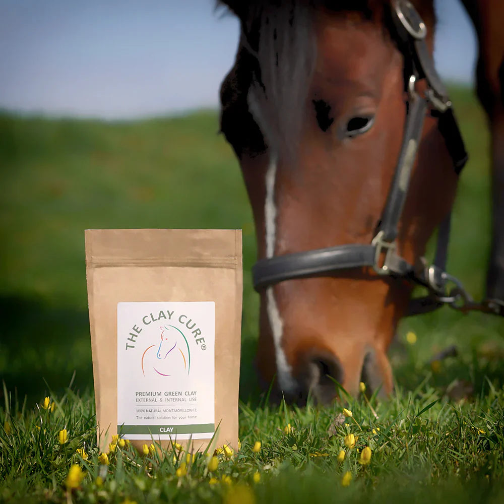 How Green Clay Can Help Horses After A Busy Summer Season – The Clay Cure