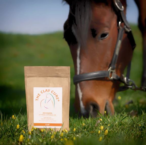 How Can Natural Clays Complement Your Pet Care Routine? – The Clay Cure Co.